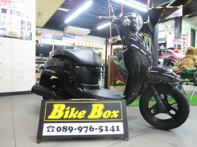 Bike Box(愛媛県松山市) - ホンダ ジョルノ ｜ MjBIKE.com